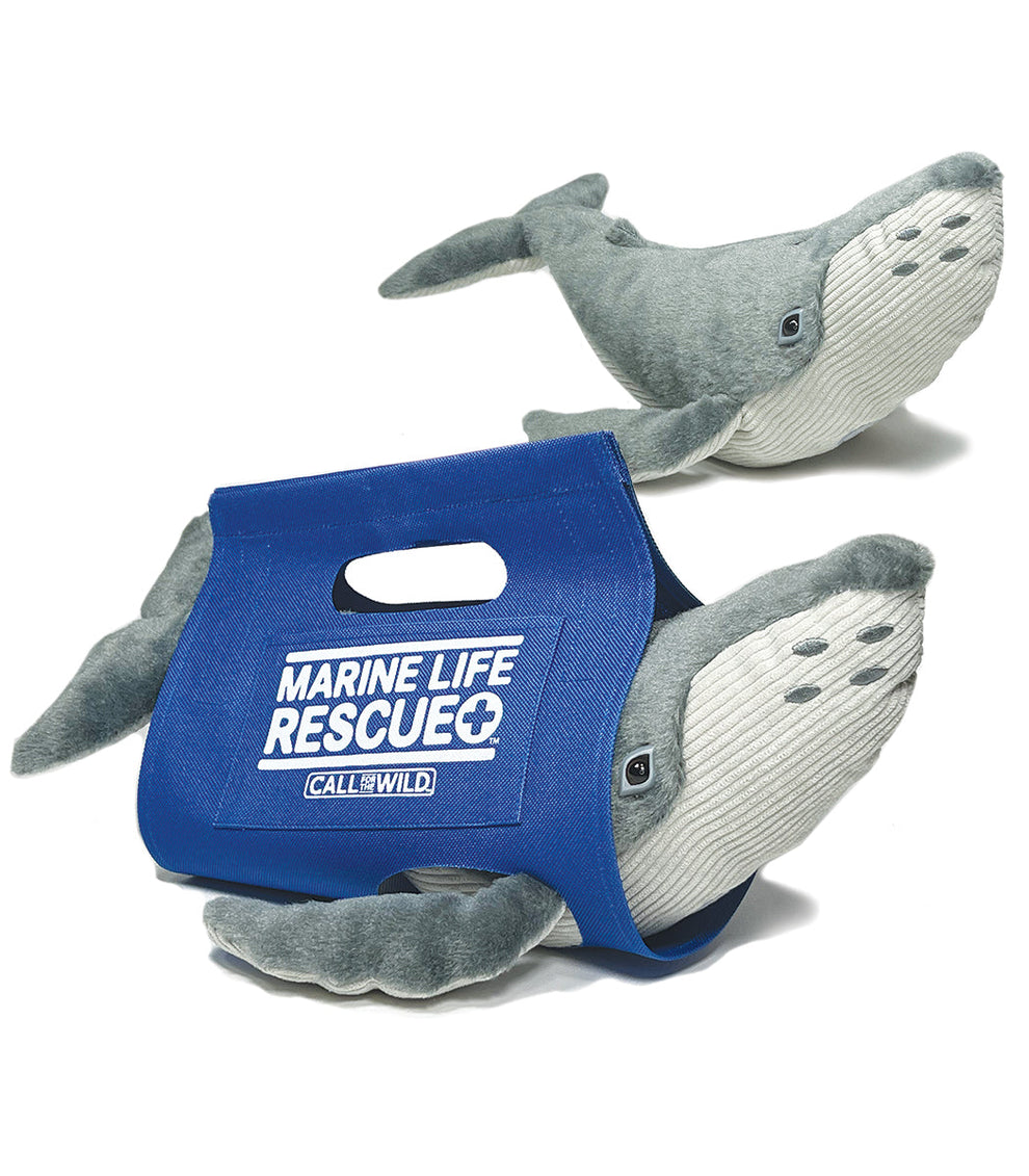 Rescue Humpback Whale – Wholesale - Call for the Wild